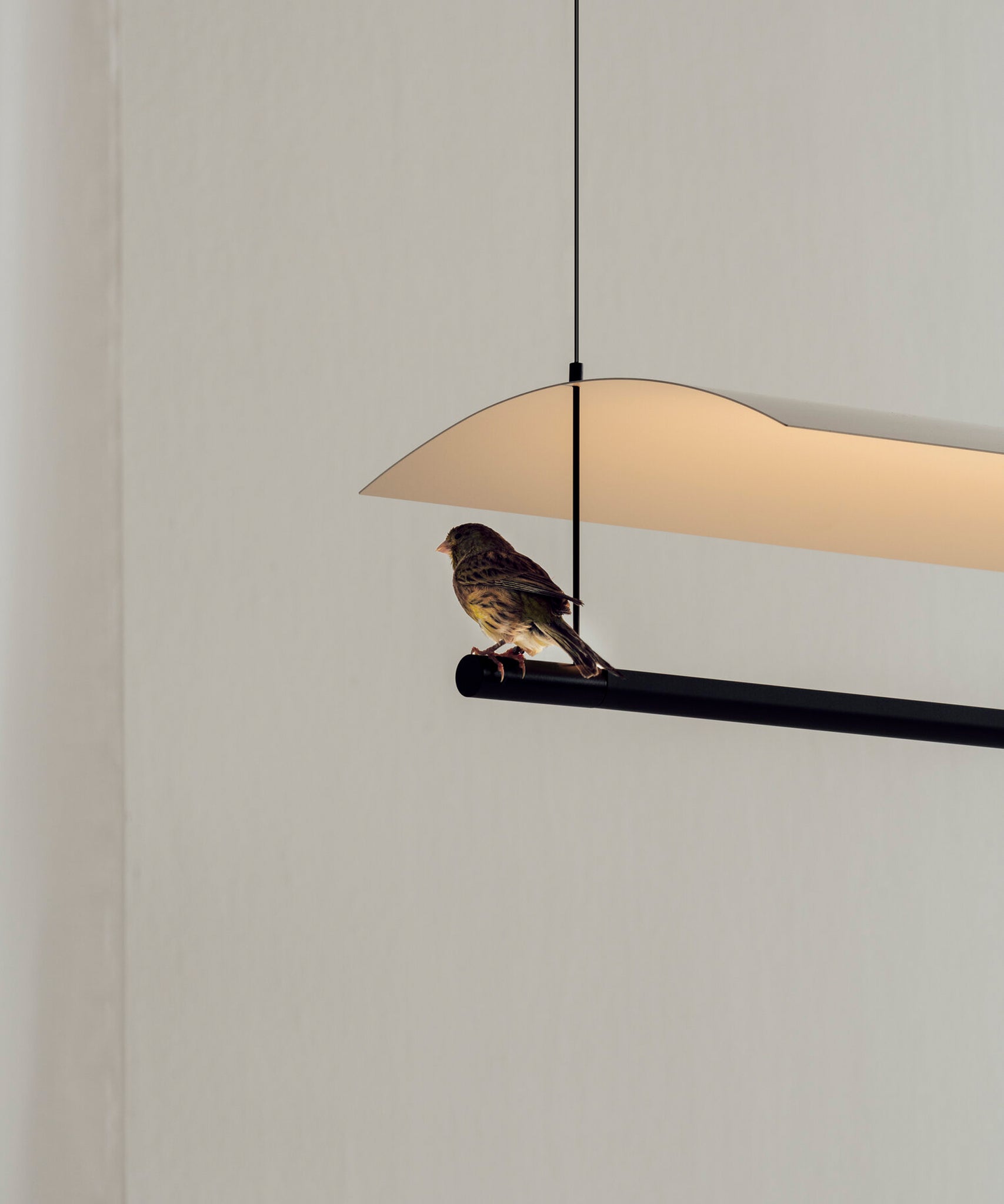 Lamina Pendant Lamp by Santa & Cole | Contemporary Design | TRNK