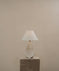 Charcoal/Frost Finish Natural Brass Mountain Lamp 1 – TRNK