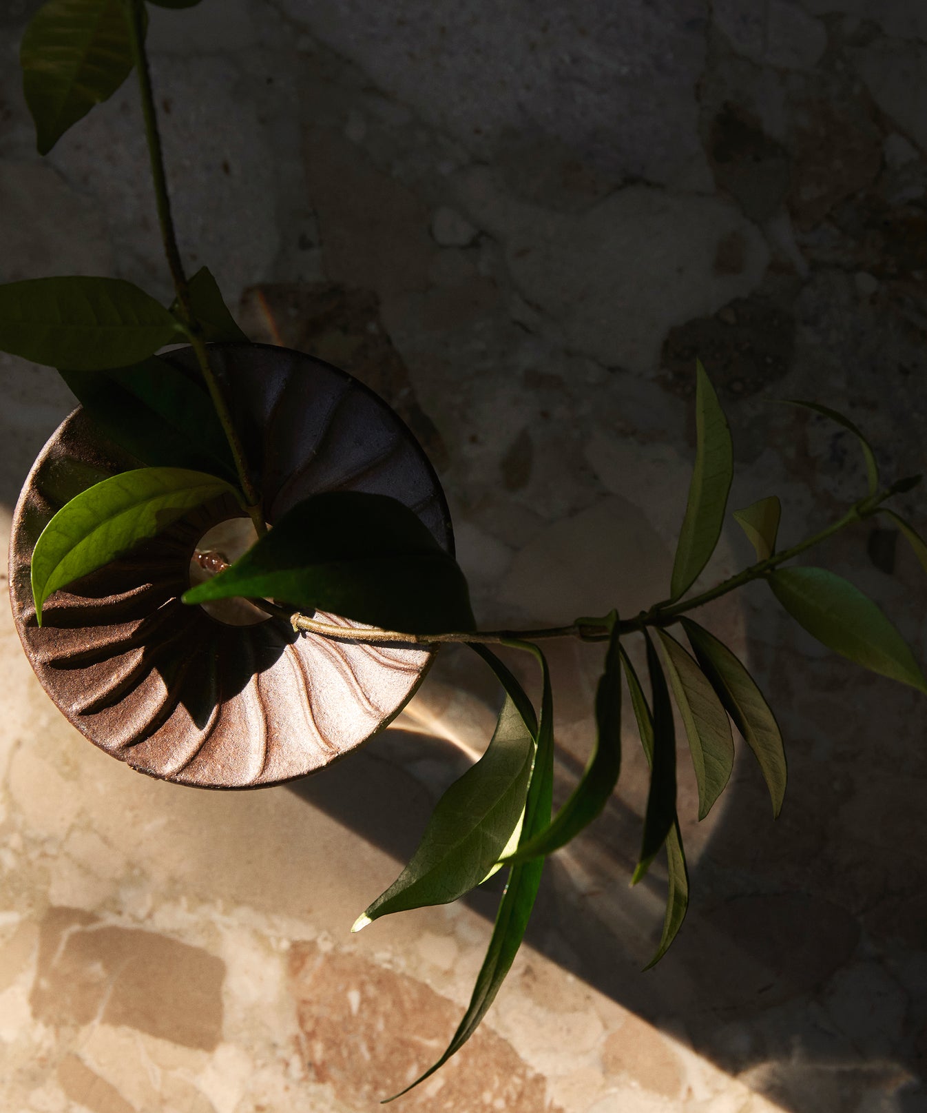 Cresco Propagation Vases, Set of 2 | Audo Copenhagen | High-Quality ...