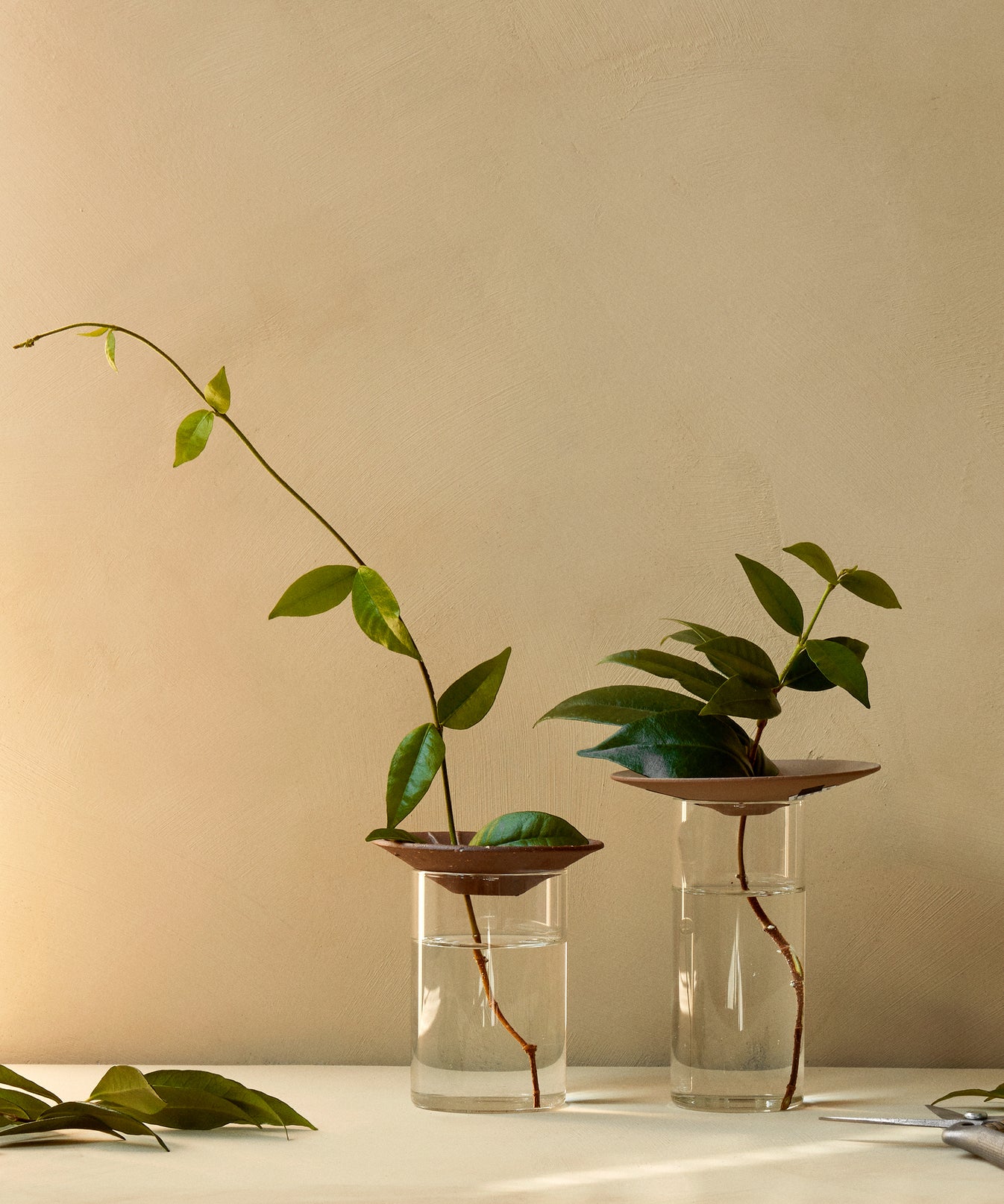 Cresco Propagation Vases, Set of 2 | Audo Copenhagen | High-Quality ...