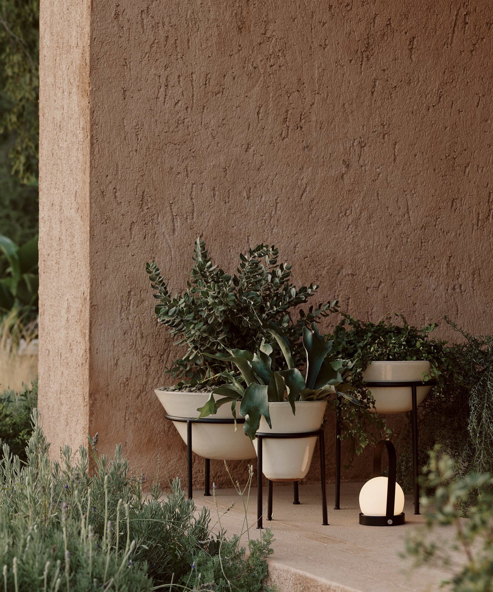 Shop Glazed Daiza Planter | Available in 4 Sizes – TRNK