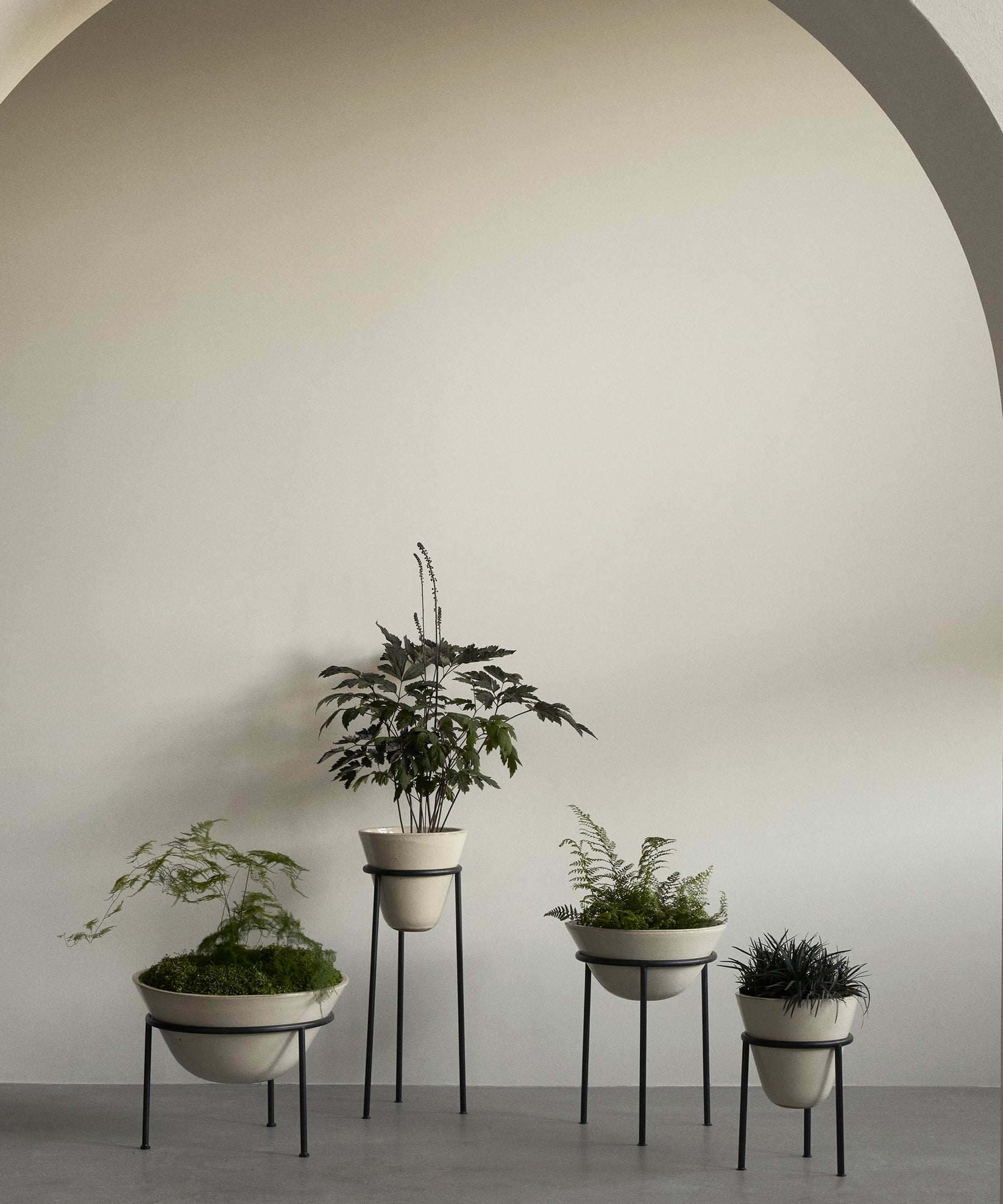 Shop Glazed Daiza Planter | Available in 4 Sizes – TRNK